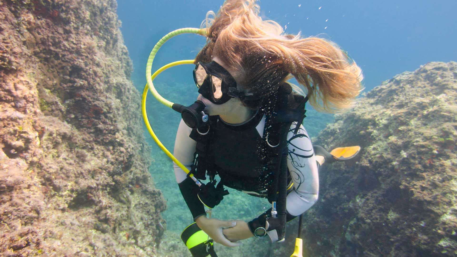 PADI Open Water Diver – Diver's Paradise Professional Institute