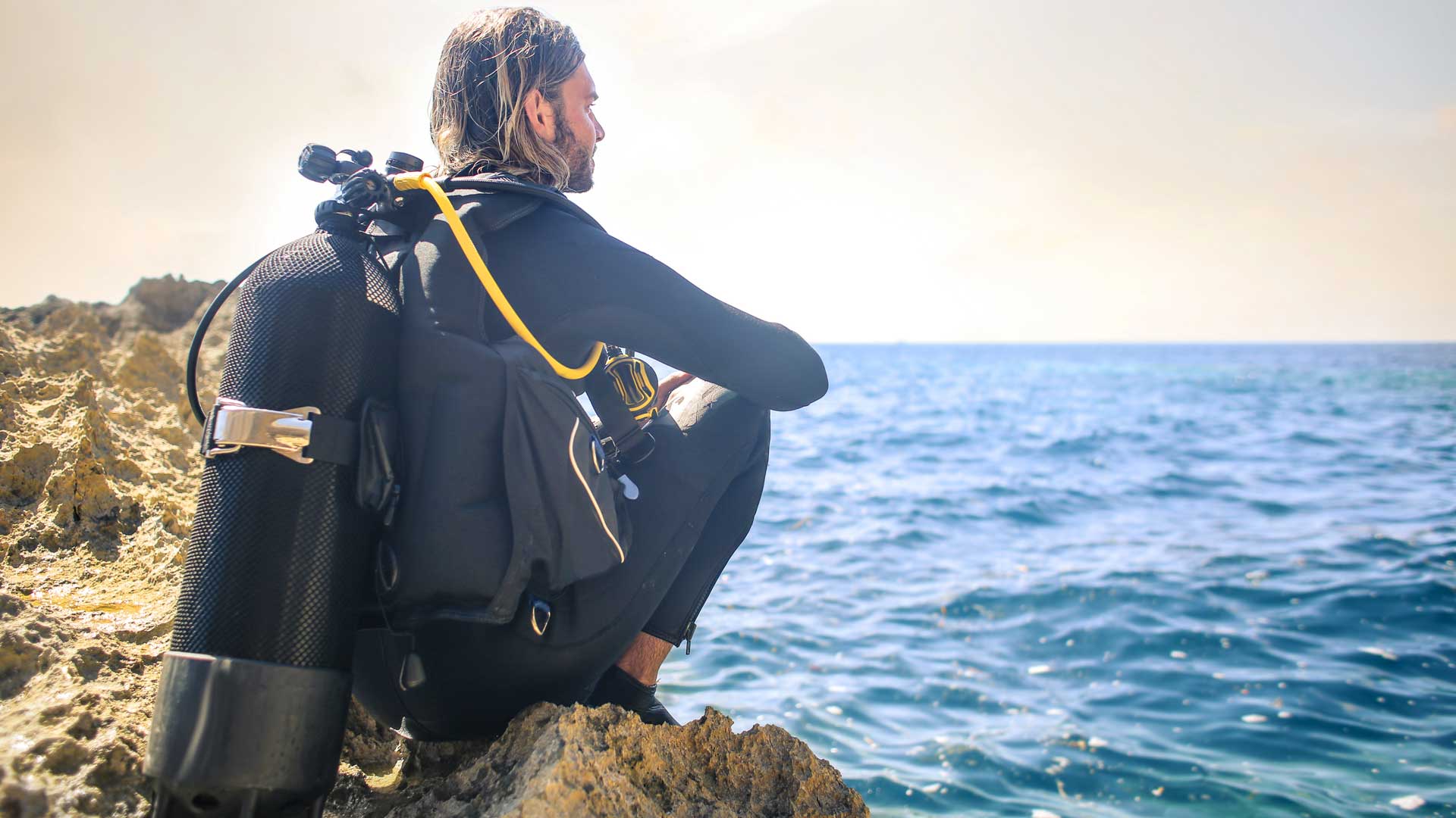 Diver's Paradise Professional Institute
